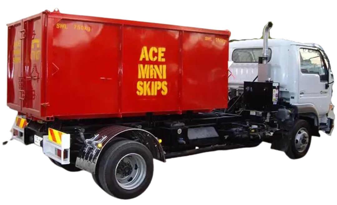 Ace Mini Skips